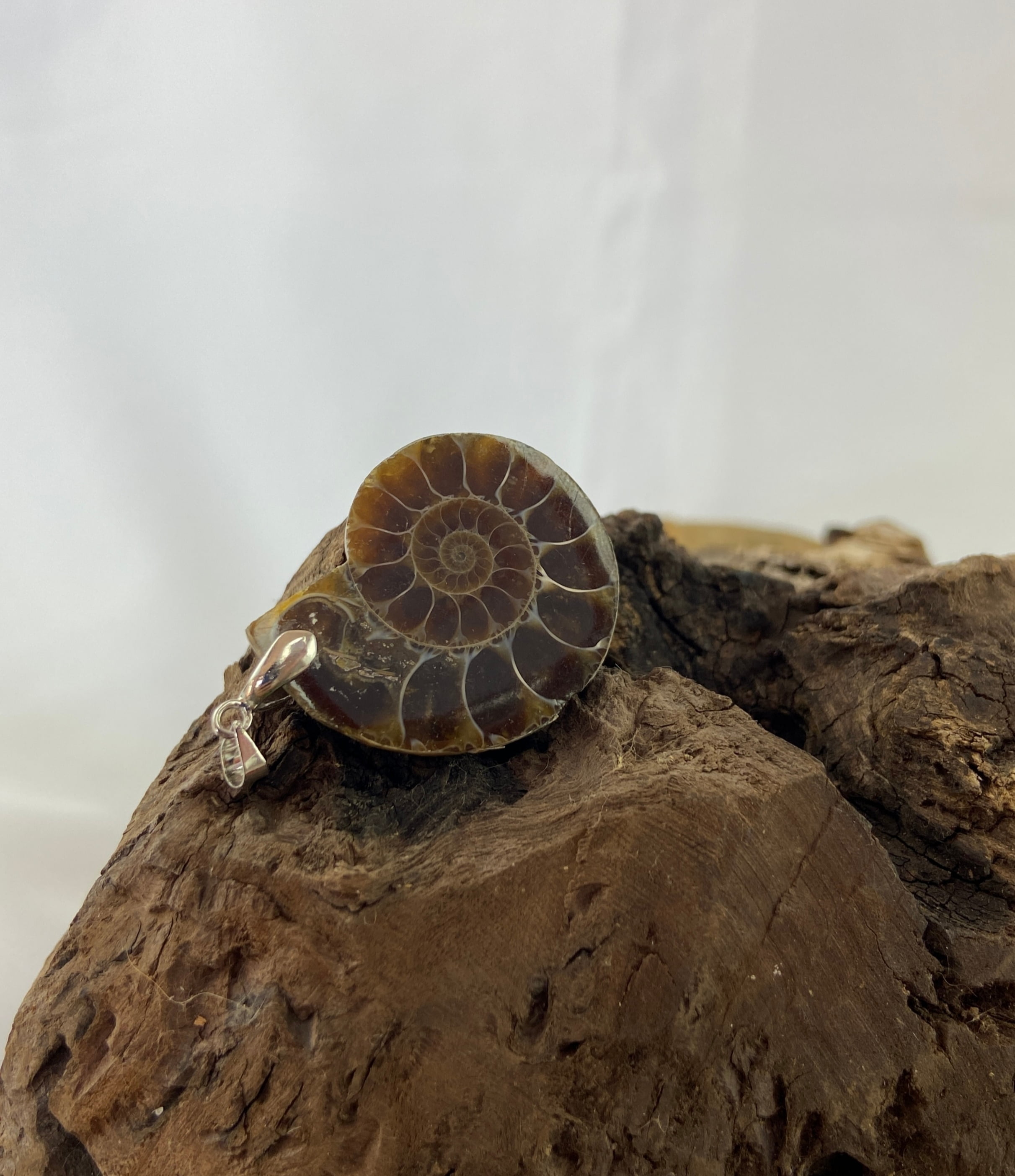 PINGENTE PEDRA AMONITE COMPRE AGORA